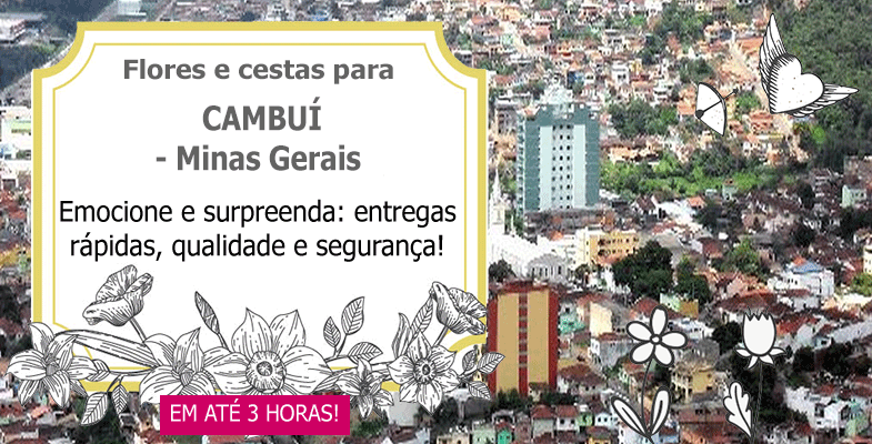 Floricultura Cambuí | UNIFLORES Floricultura Cambuí | UNIFLORES
